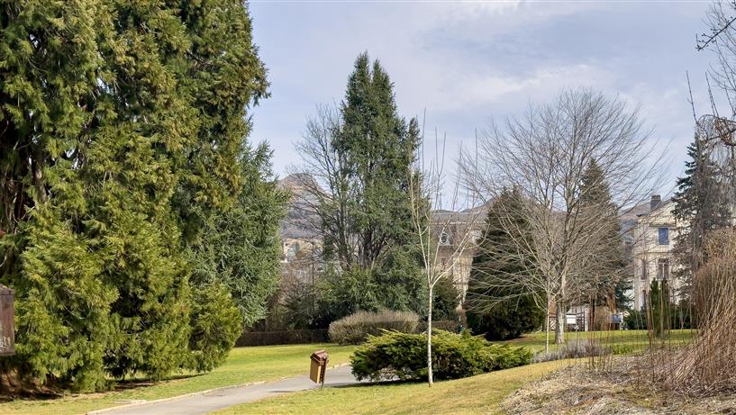 Le Parc Fenestre , nature et loisirs à la Bourboule dans le Sancy